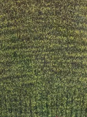 SUNFLOWER Frederik Sweater