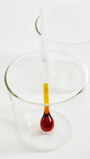 ZAFFERANO Spritzometro Tumblers With Stirrer