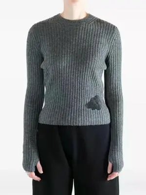 Cecilie Bahnsen Ribbed Appliqué Sweater