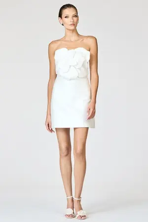 Sachin & Babi Anora Strapless Mini Dress