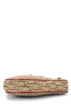 Dior Rasta Saddle Bag - Multi