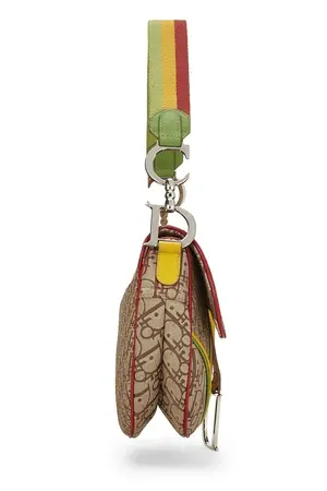 Dior Rasta Saddle Bag