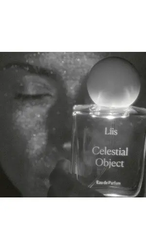 LIIS Celestial Object