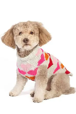Chilly Dog Patterned Sweaters For Women