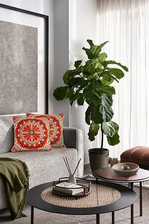 GAURI KOHLI Holi Pillow - Multicolor