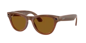 Ray-ban Ray-Ban Skyler Sunglasses Brown
