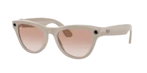 Ray-ban Ray-Ban Skyler Sunglasses Cinnamon Pink