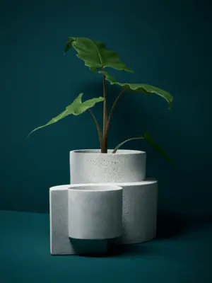 TORTUGA FORMA Platform Planter Concrete Set Of 2 - White Terrazzo