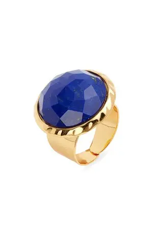 Nest Jewelry Semiprecious Stone Adjustable Ring - Blue