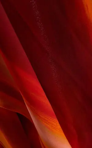 LAQUAN SMITH Scarf-detailed Gown