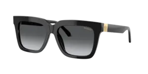 Versace Sunglasses Dark Grey Gradient Polar
