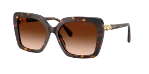 Havana/gradient Brown (gradient Brown)