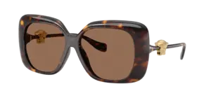 Versace Sunglasses Dark Brown