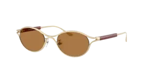 Tory Burch Sunglasses - Brown