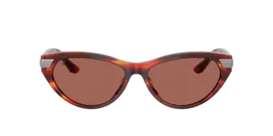 FERRARI Fh2020u Sunglasses - Brown