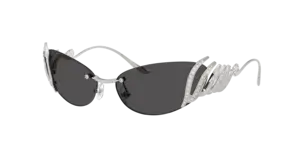 Swarovski Silver Tone Eyewear For Women