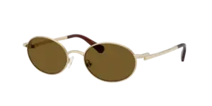 Swarovski Gold Tone Eyewear For Women