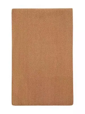 Pinko Slovenia Ribbed Label Scarf - Brown