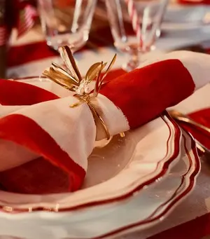 SUMMERILL & BISHOP Linen Stripe Napkin