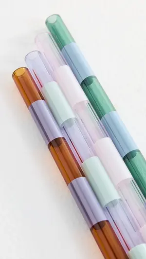 FAZEEK Set Of Striped Straws