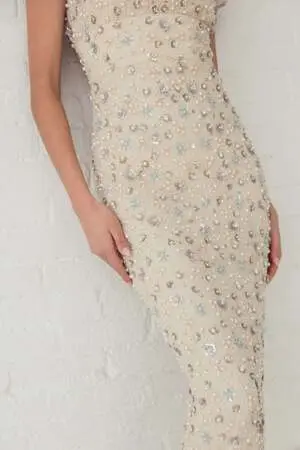 Mac Duggal Ivory Floral Embellished Mesh Fitted Column Gown