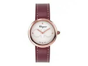 Ferragamo Fashion Watches For Women