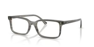 Women's Ray-ban Gray Eyewear
