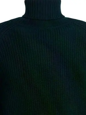 RAKKI Ribbed Roll-neck Sweater
