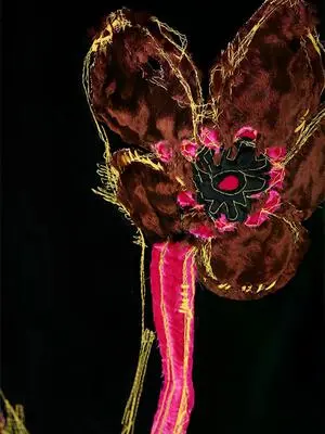 Prada Embroidered Velvet Dress