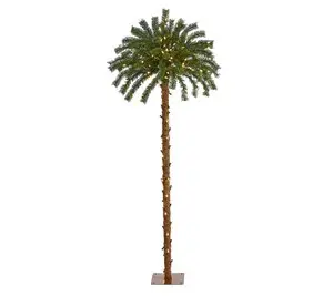 NEARLY NATURAL 5' Christmas Palm Tree With 150 Lights - One-color