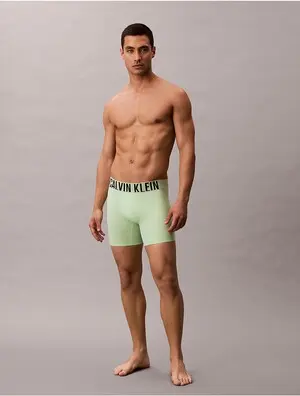 Calvin Klein Intense Power Sport Boxer Brief - Forest Freeze / Black