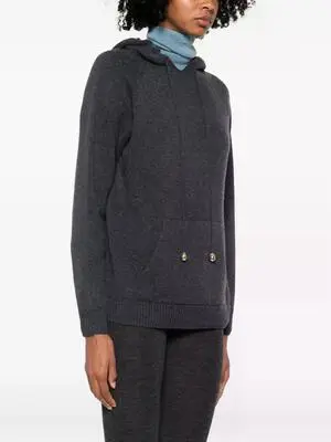 Fabiana Filippi Wool-blend Hoodie