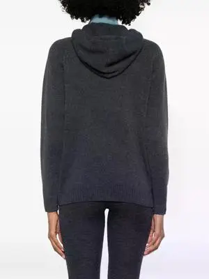Fabiana Filippi Wool-blend Hoodie