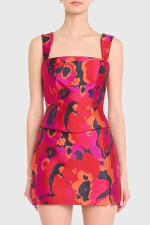 Amanda Uprichard Ceronne Floral Print Corset Top - Pink Multi