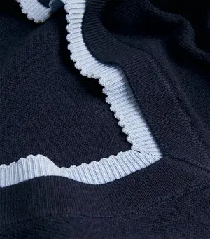 Sandro Wool-cashmere V-neck Sweater