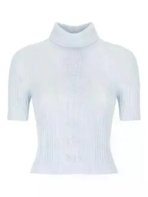 VANISÈ Ribbed Knit Turtleneck Top
