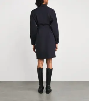 Max Mara Belted Mini Shirt Dress