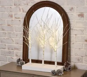 VALERIE PARR HILL Illuminated Birch Tree Centerpiece Valerie - One-color