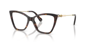 SWAROVSKI Sk2051 Eyewear - Havana