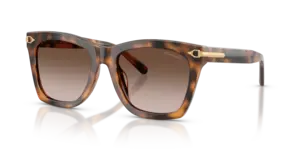 Ralph Lauren Rl8235u Sunglasses - Havana