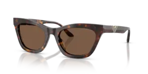 Emporio Armani Full Rim Sunglasses - Shiny Havana
