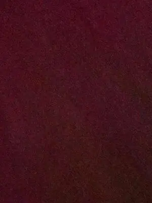 Acne Studios Fringed Scarf