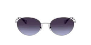 Ralph Lauren RA4148 Sunglasses Shiny Silver