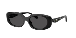 COACH Oval Frame Sunglasses - Black