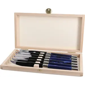 CAPDECO Contybox Of 6 Steak Knives - Blue