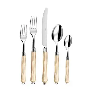 CAPDECO Pluton5 Piece Place Setting - Horn