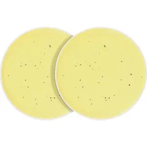 STONE + LAIN Elena Stoneware 4-piece Dinner Plate Set - Yellow