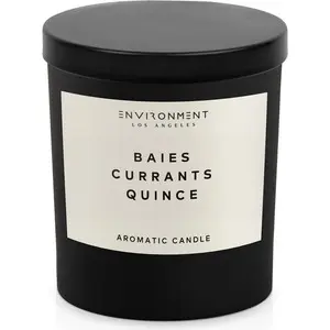 ENVIRONMENT Inspired Designer Perfume Candle - Inspired By Diptyque Baies