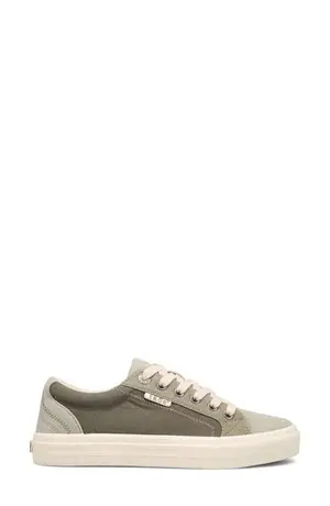 TAOS Plim Soul Sneaker - Sage/olive Multi