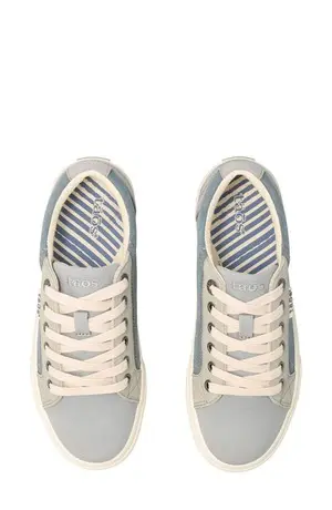 TAOS Plim Soul Sneaker - Skyway Multi
